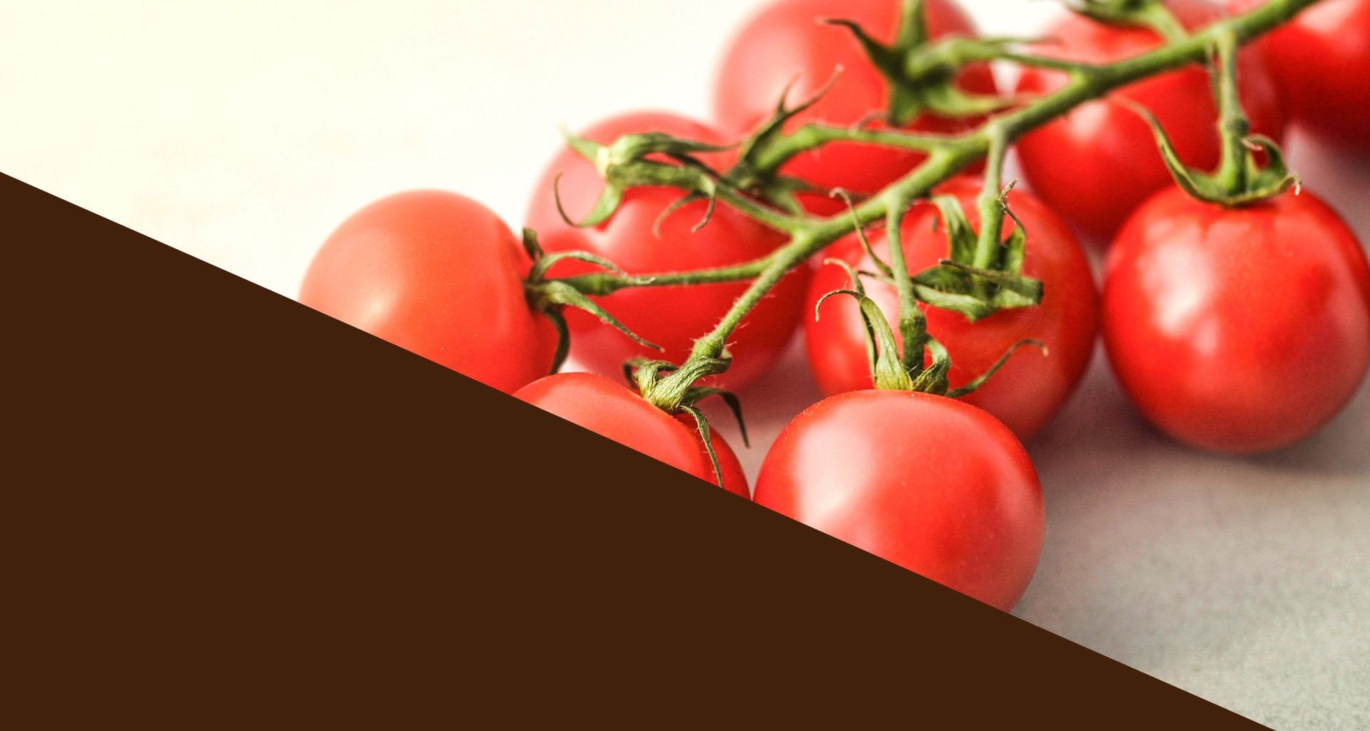 Hortalizas del Ecuador – Ecuahort