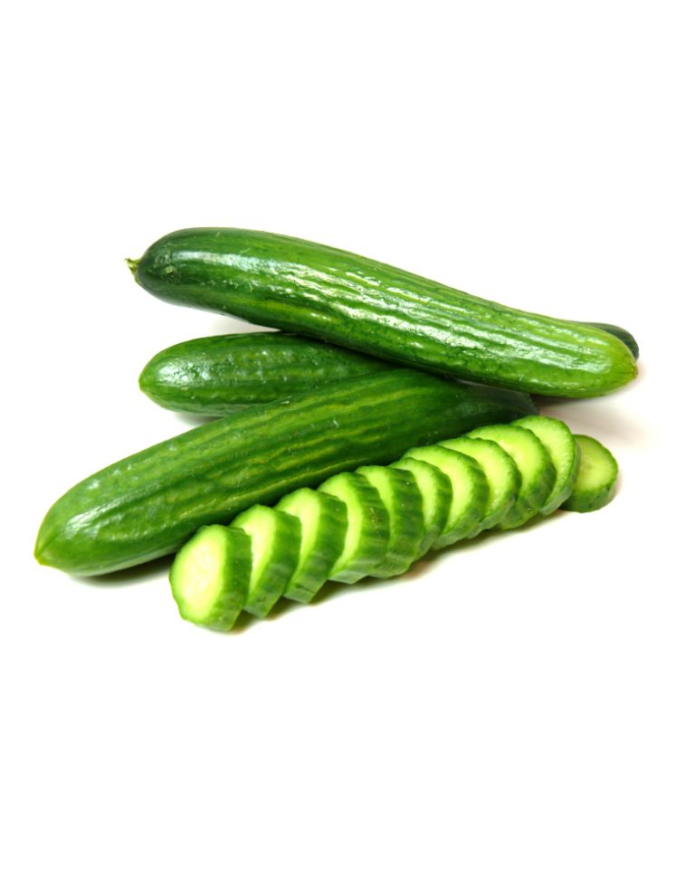 Pepinillo – Hortalizas del Ecuador